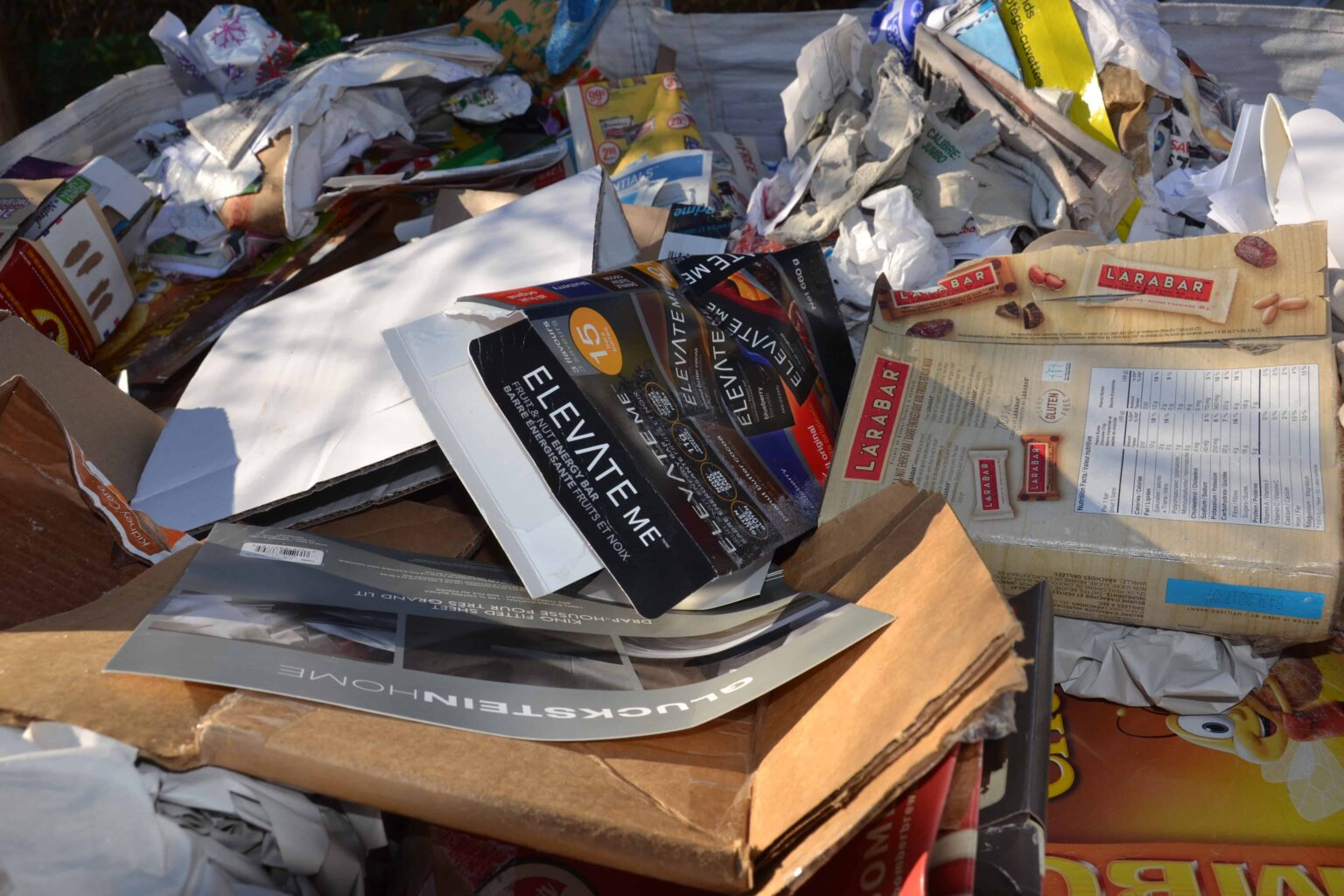 Paper Recycling: The Dos and Don'ts - Recycle BC